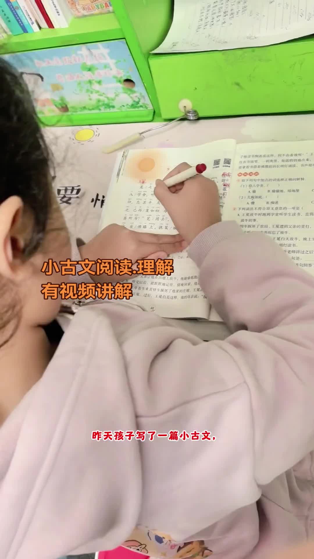 小学生的文言文阅读理解,经典小古文阅读! 有视频讲解,可以积累实词...