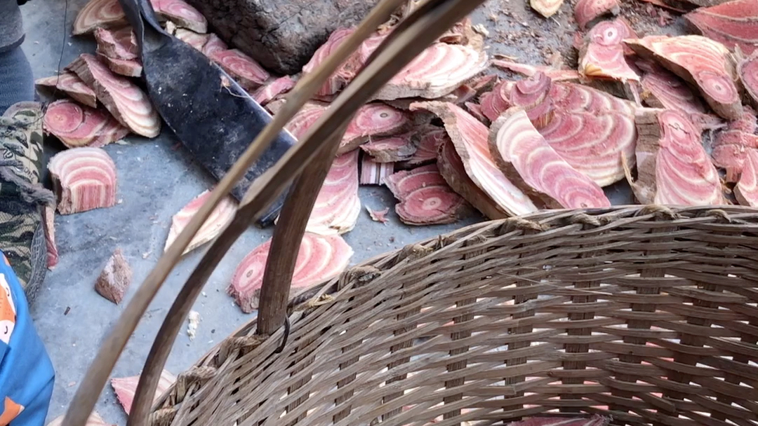 鸡血藤切片蒸晒干,煲汤煮水泡酒,男人加枸杞,女人加红枣