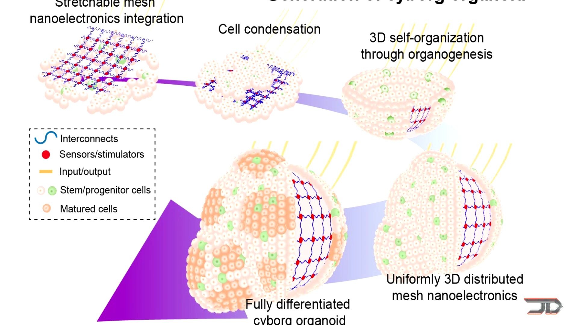 【 机器人技术:7大令人惊讶的纳米机器人突破 】7 CRAZY NanoRobot ...