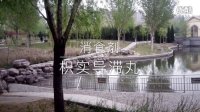 枳实导滞丸-消食剂-方剂学