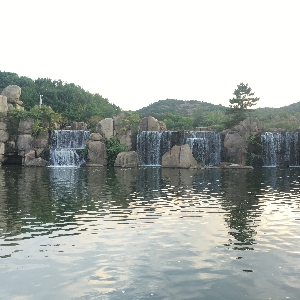 温顺虎 