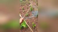 野外遇到一把弓仰天长射一箭