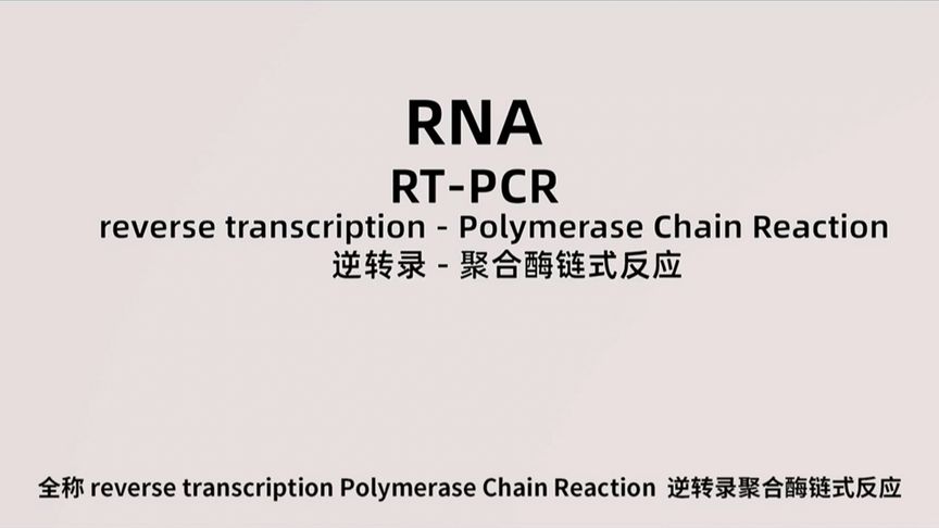 最新快速检测新冠方法来啦!荧光RT-PCR法!干货
