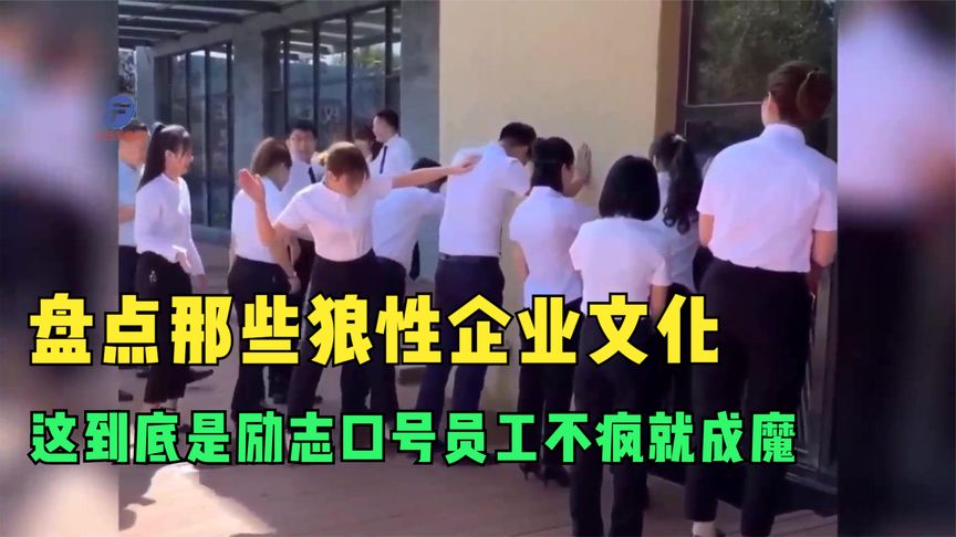盘点那些狼性企业文化,这到底是励志口号,员工不疯就成魔