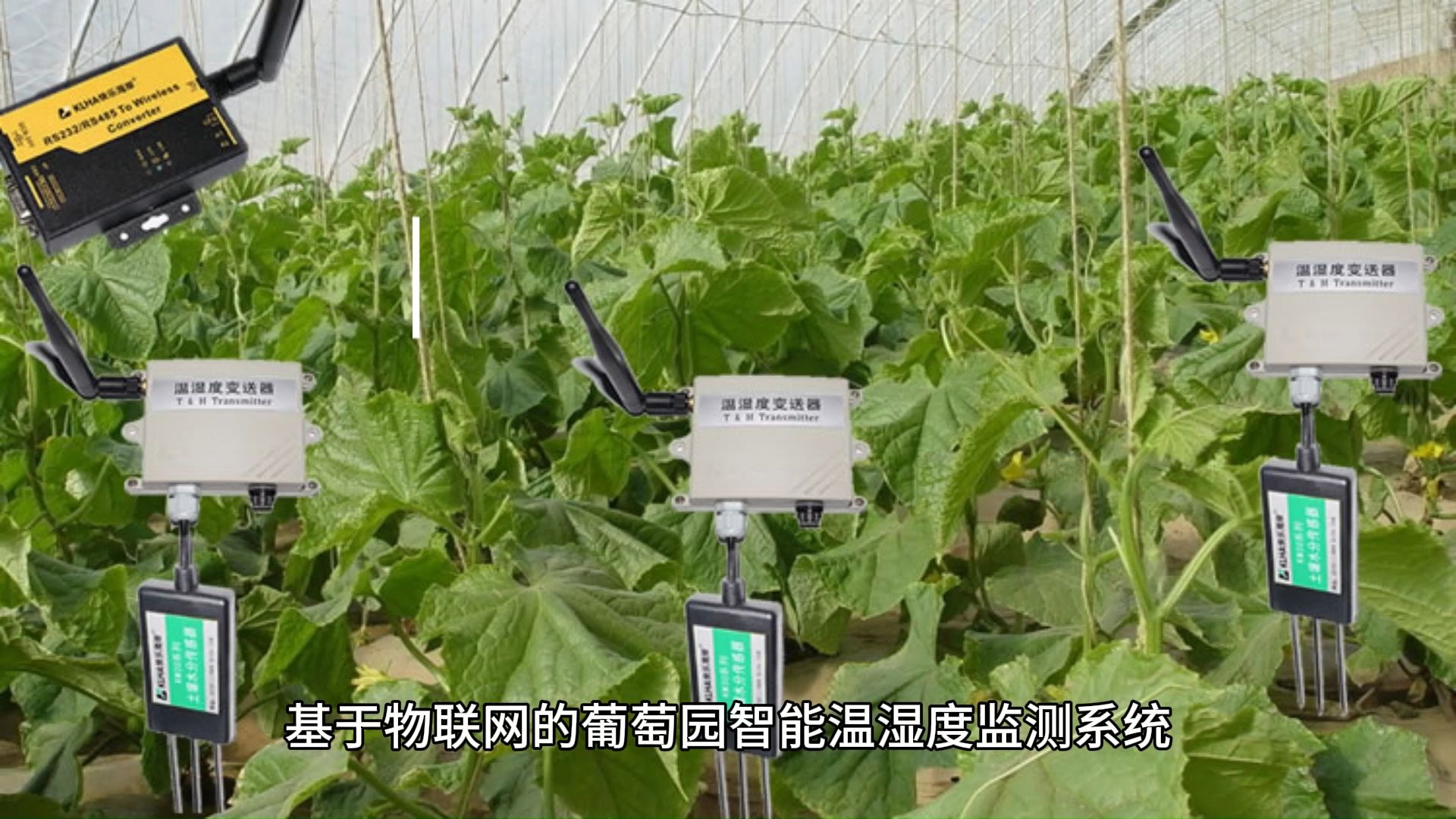 【计算机毕业设计】基于物联网的葡萄园智能温湿度监测系统