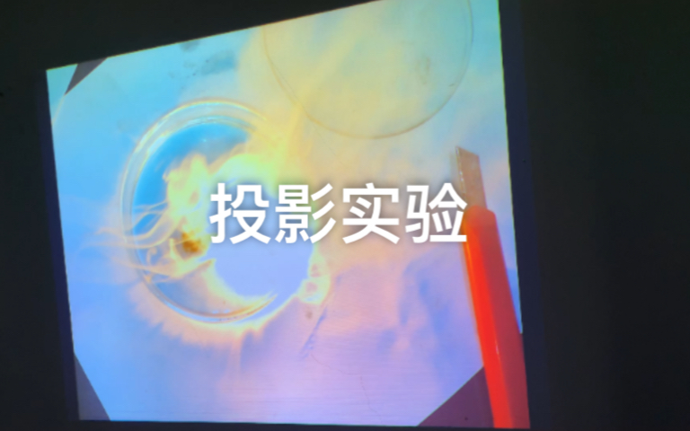 【投影实验】钠分别硫酸铜溶液、氯化铁溶液反应