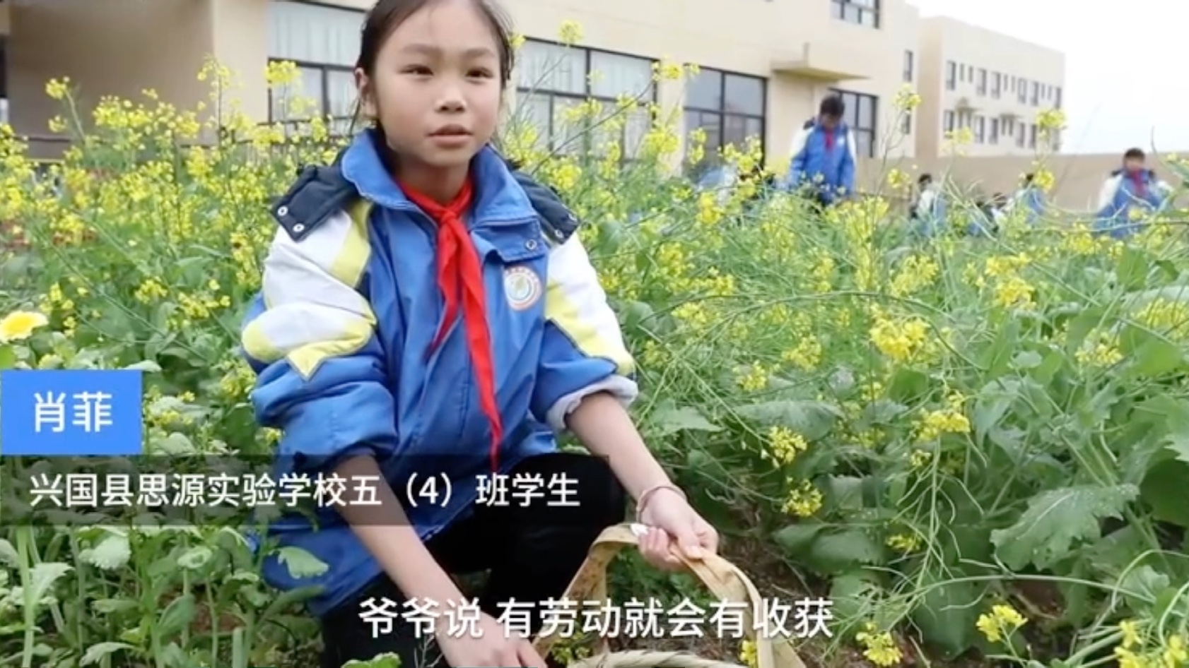 江西兴国:教学楼顶的“开心农场”