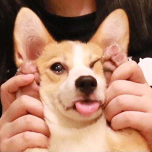 超级方方 