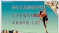 会计电算化实务操作 会计电算化教程 初级会计电算化实务操作