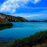 互联网市场分析