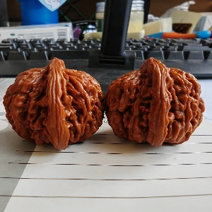ccyfantx 