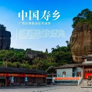 发现岑