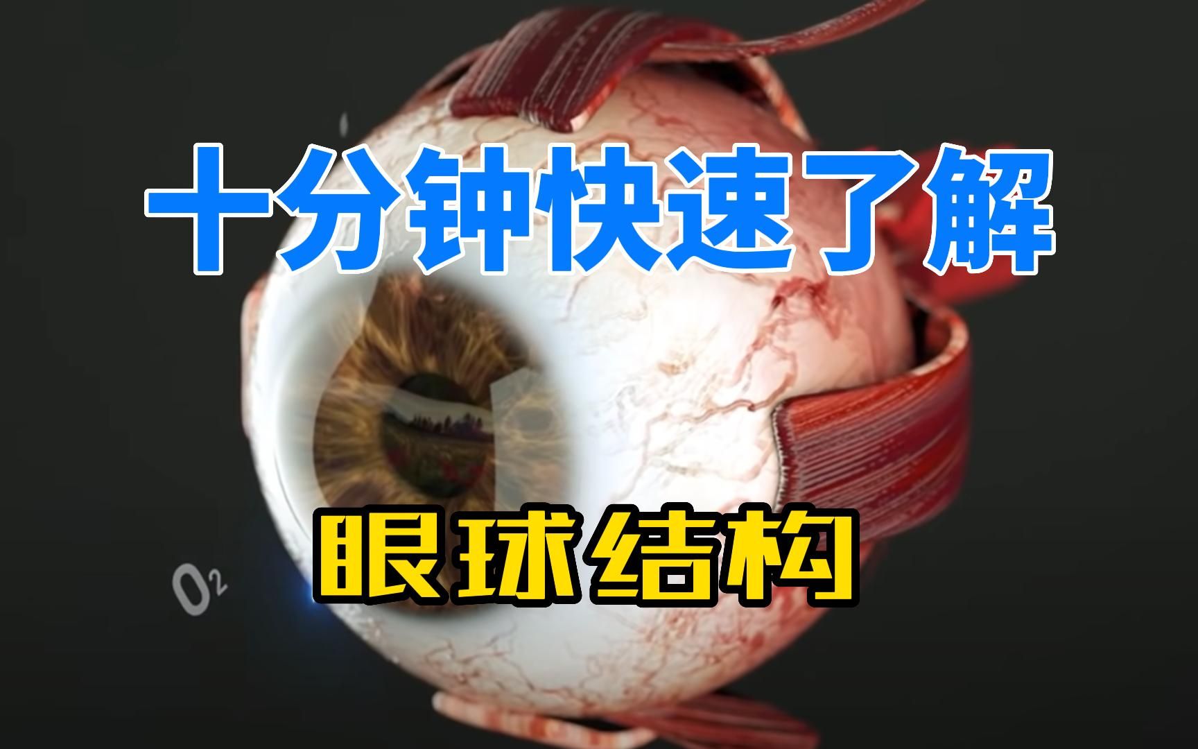 【科普】十分钟带你认识眼睛的结构
