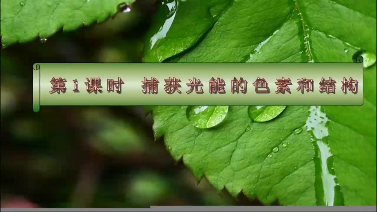 人教版高中生物(必修一)