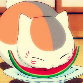 神kama猫大王 