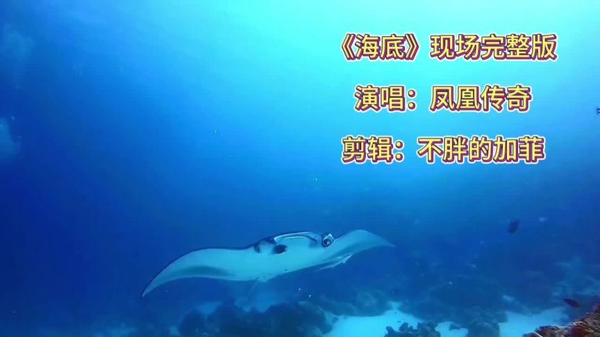 《海底》凤凰传奇现场完整版#热门音乐ߔ� #音乐分享 #好歌推荐