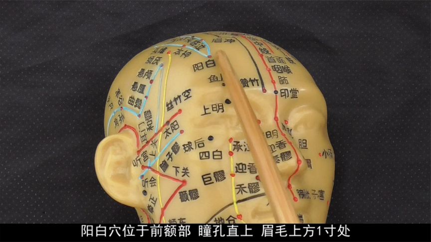 阳白穴主治疾病:头痛,眩晕,面瘫,近视,沙眼等