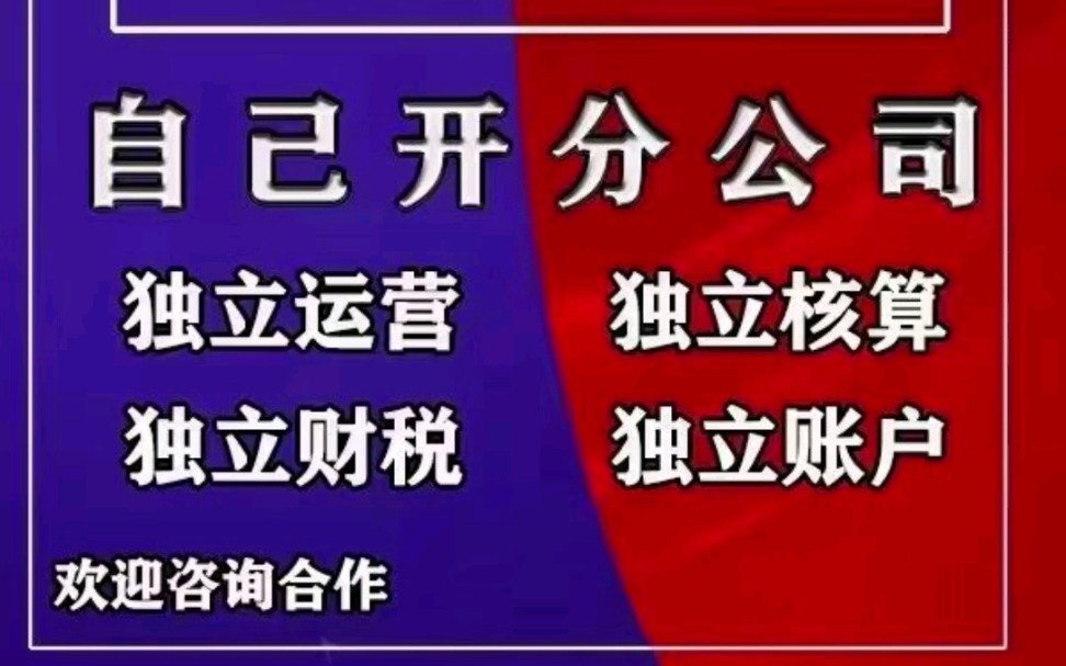 独立运营,独立核算,财务税务自由,方便快捷更省钱。