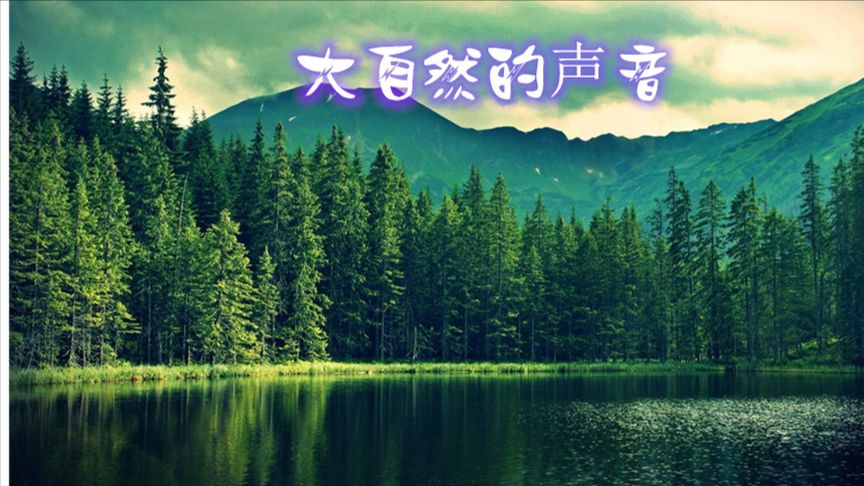 大自然的美妙之音 大自然的语言