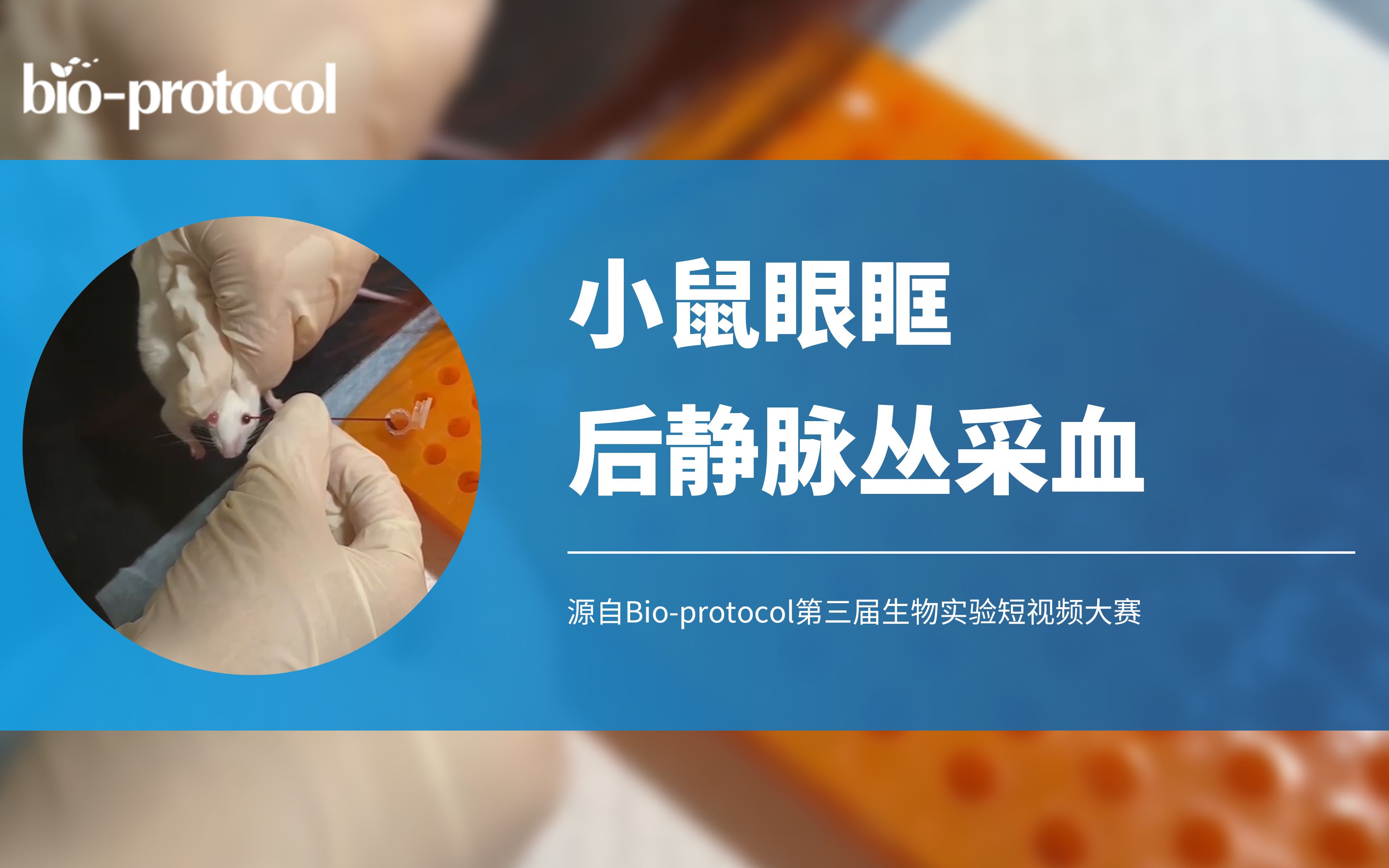 【短视频大赛】小鼠眼眶后静脉丛采血