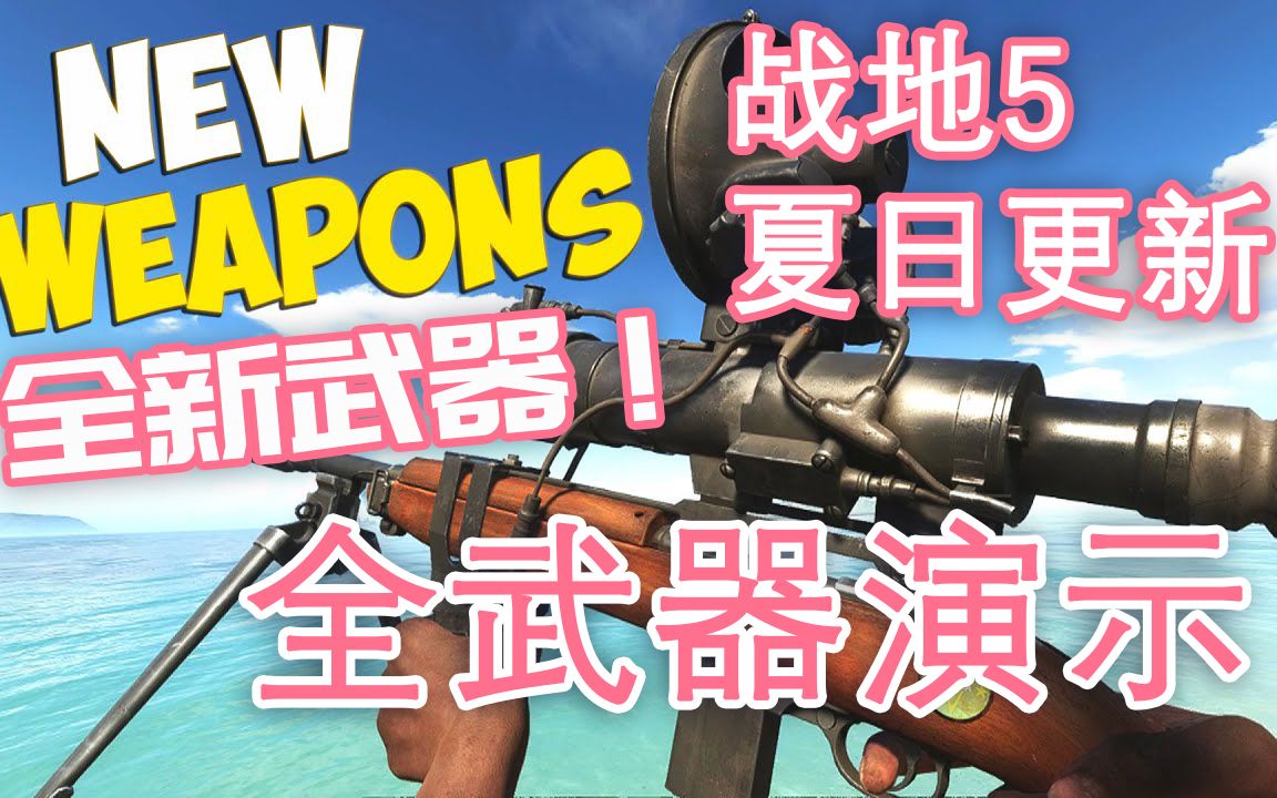 【全武器演示】[战地:5]全武器换弹、射击演示检视(夏日更新)AWRA