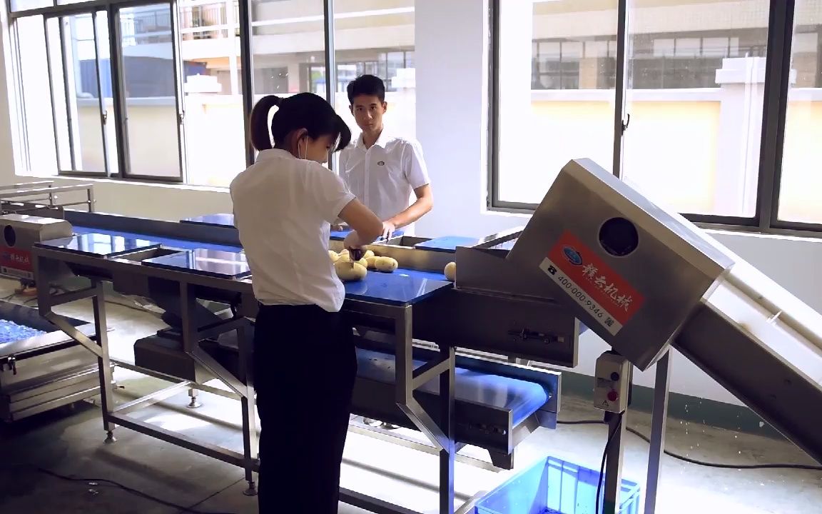 自动化净菜流水线,土豆清洗切割生产线,中央厨房净菜加工设备