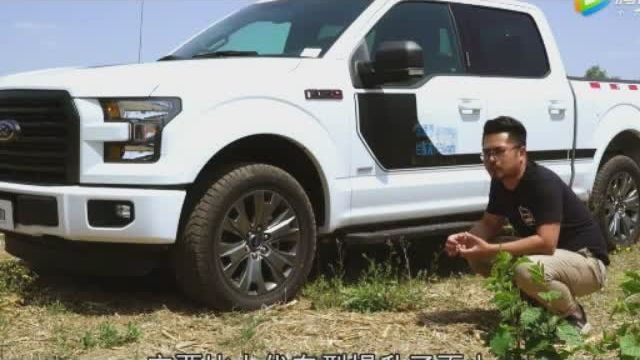 让你认识下什么是豪华皮卡