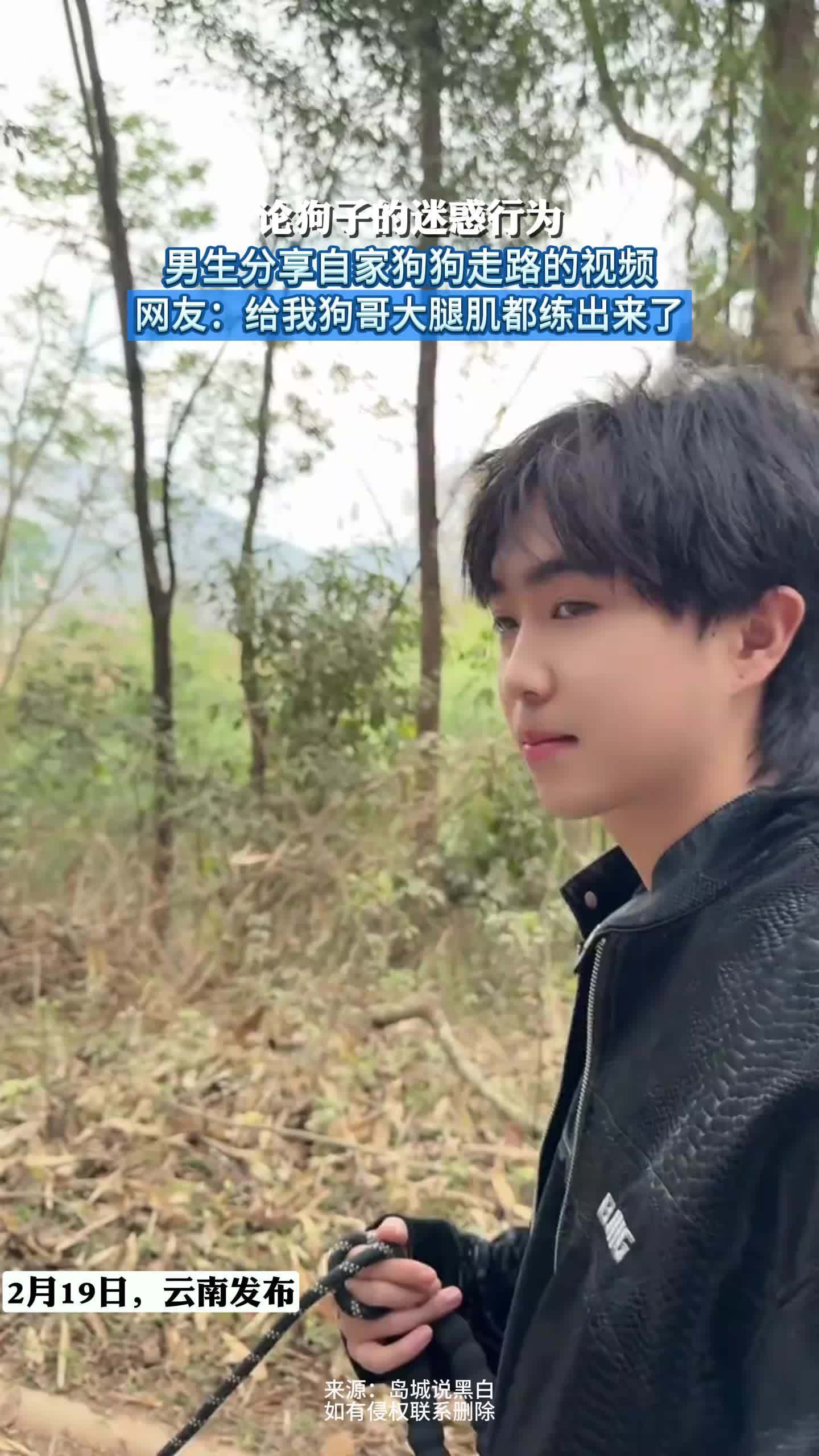 论狗子的迷惑行为,男生分享自家狗狗走路的视频
