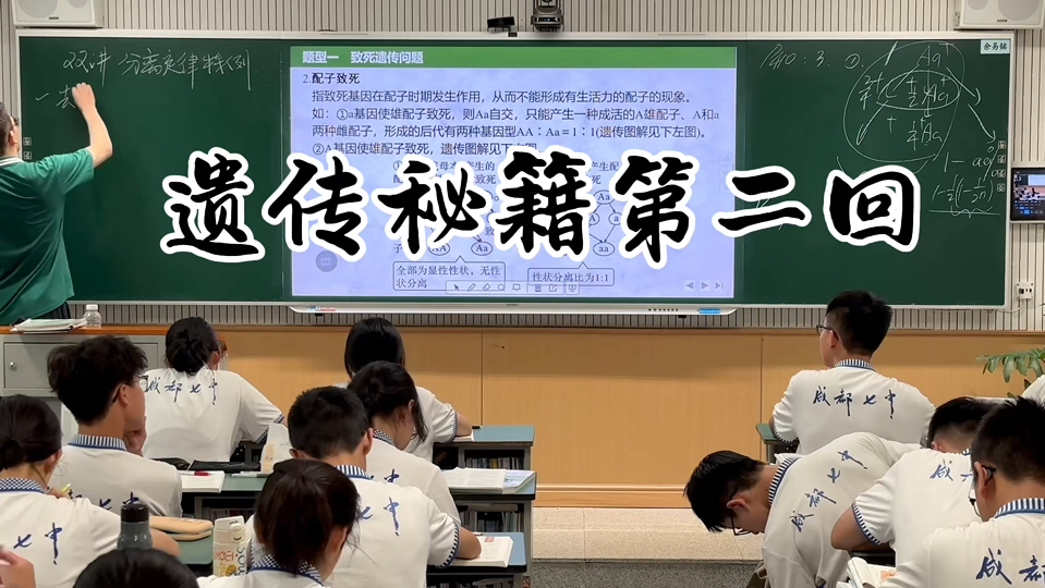 高中必看 生物 一轮复习遗传秘籍-致死特例计算