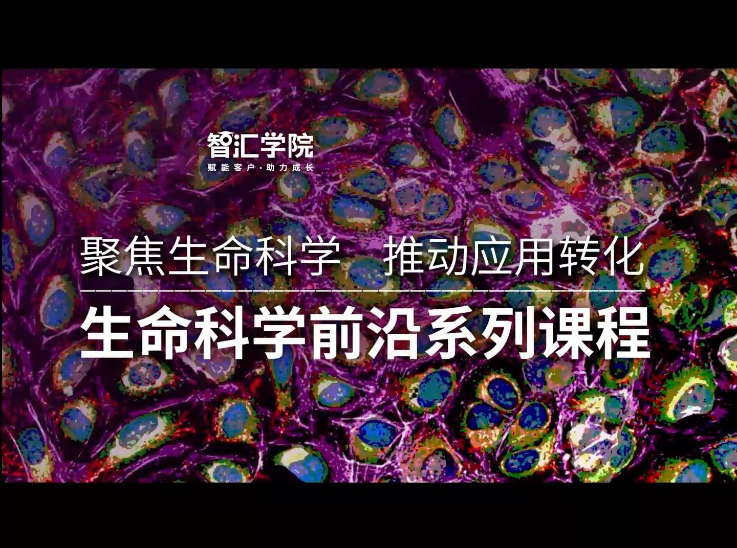 细胞治疗前沿应用 ——低亲和力CAR-T研发案例2