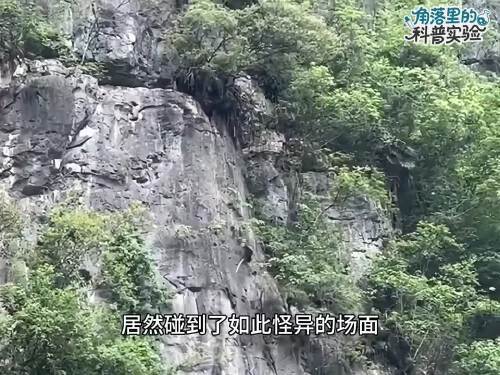 万米悬崖惊现神秘生物!村民上山砍柴目睹离奇一幕,专家都无法解释!