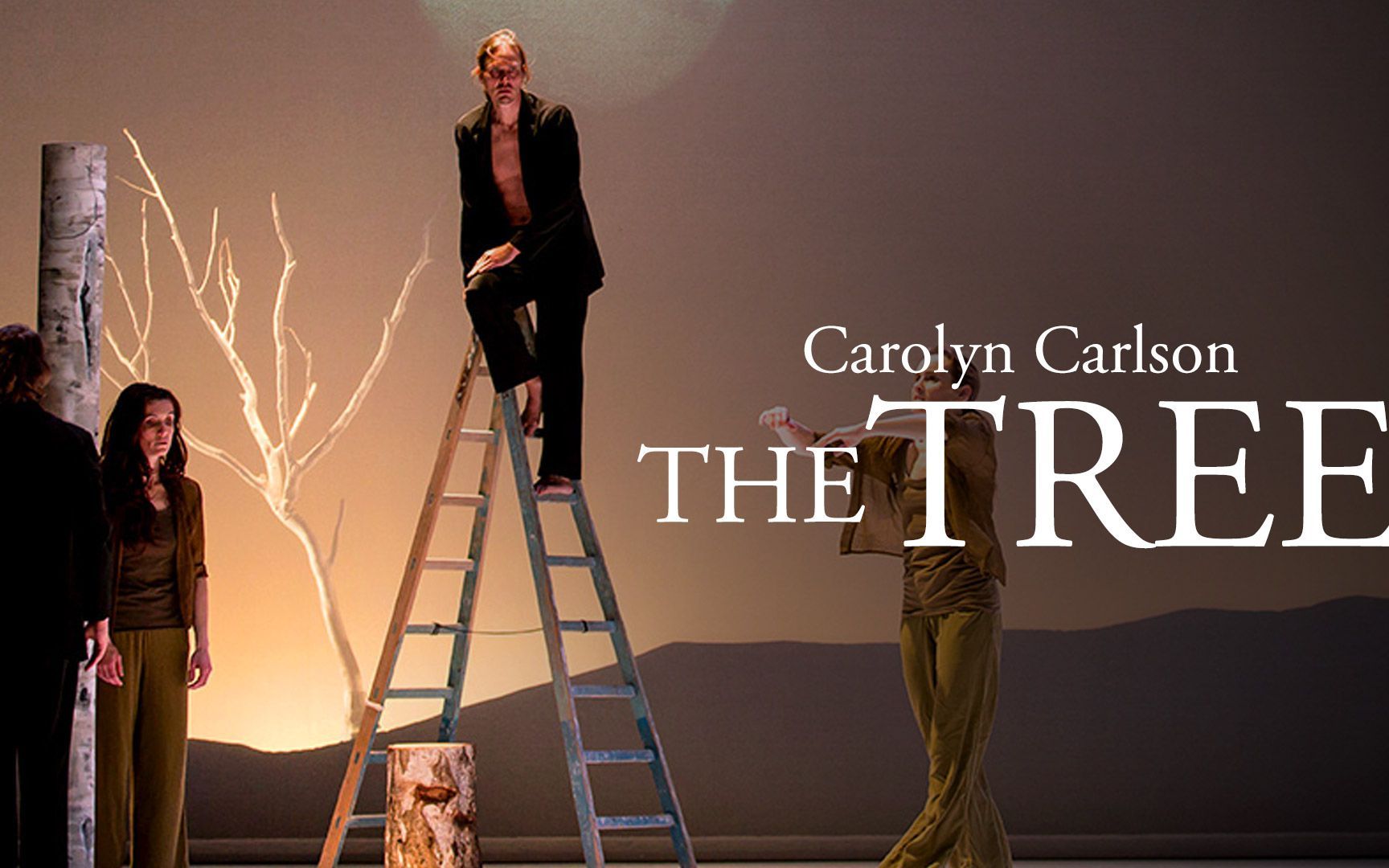...Carlson编舞 法国夏洛特国家剧院 The Tree Théâtre de Chaillot