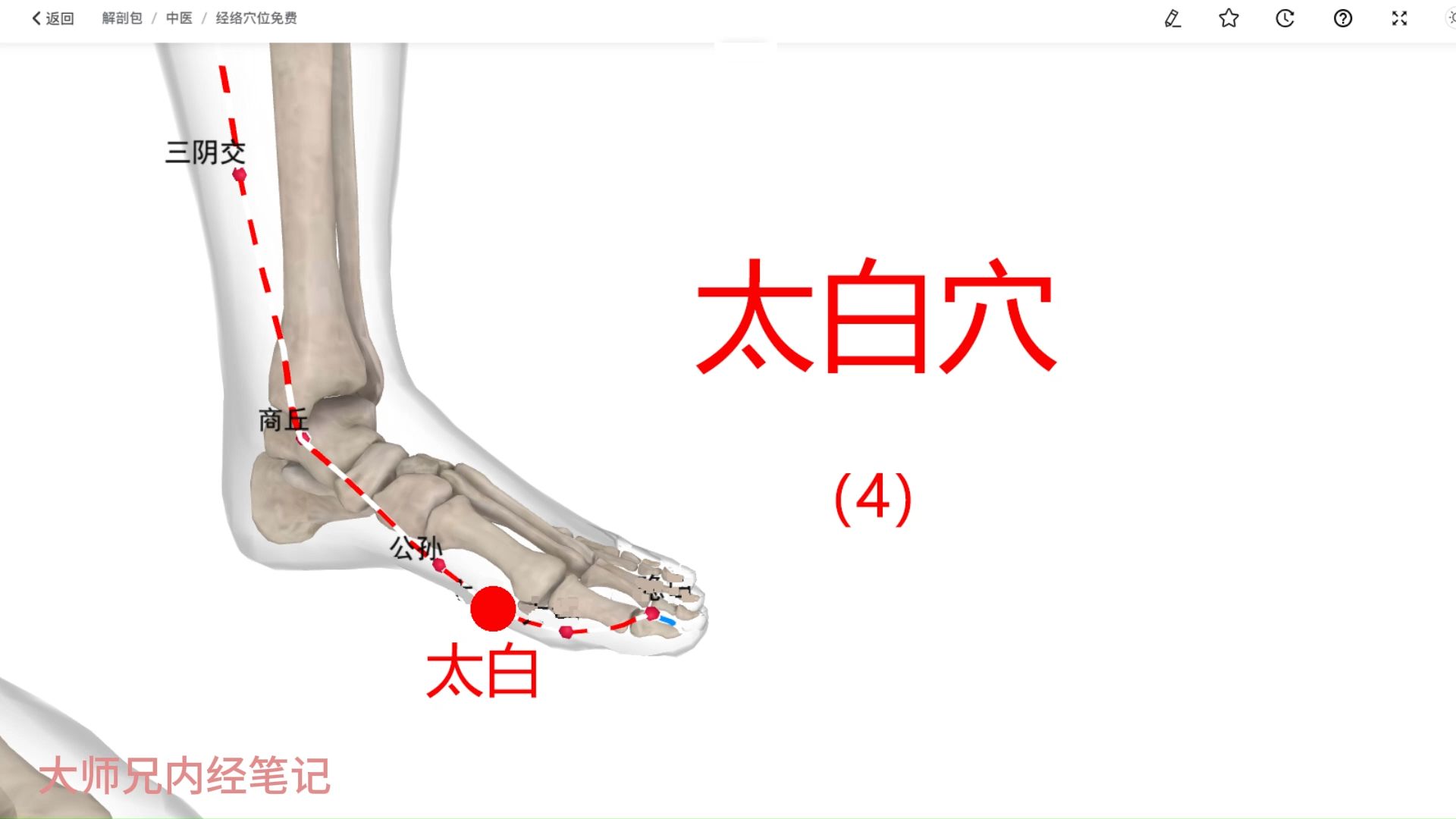 太白穴 四分钟内经笔记记住太白穴