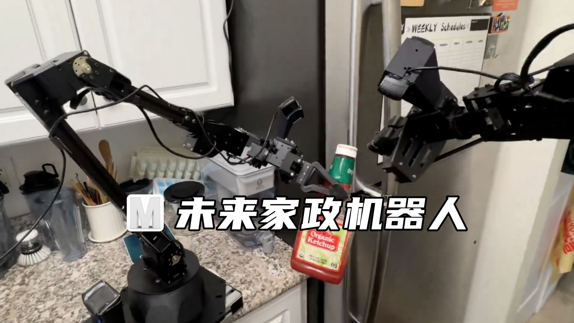 MobileALOHA未来家政机器人