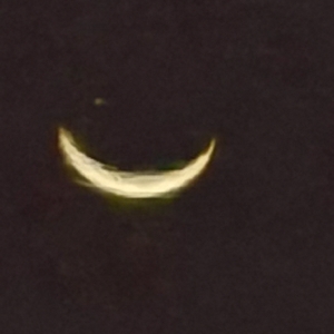 月球上的星蝉 