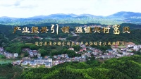 《产业振兴引领 强镇兴村富民》——溪口农业产业汇报片