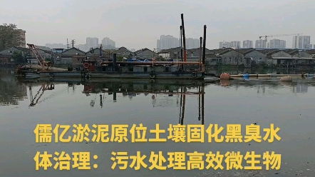 ...工业废水、市政污水、各种污染水体。生物治污菌剂:水污染治理固化剂