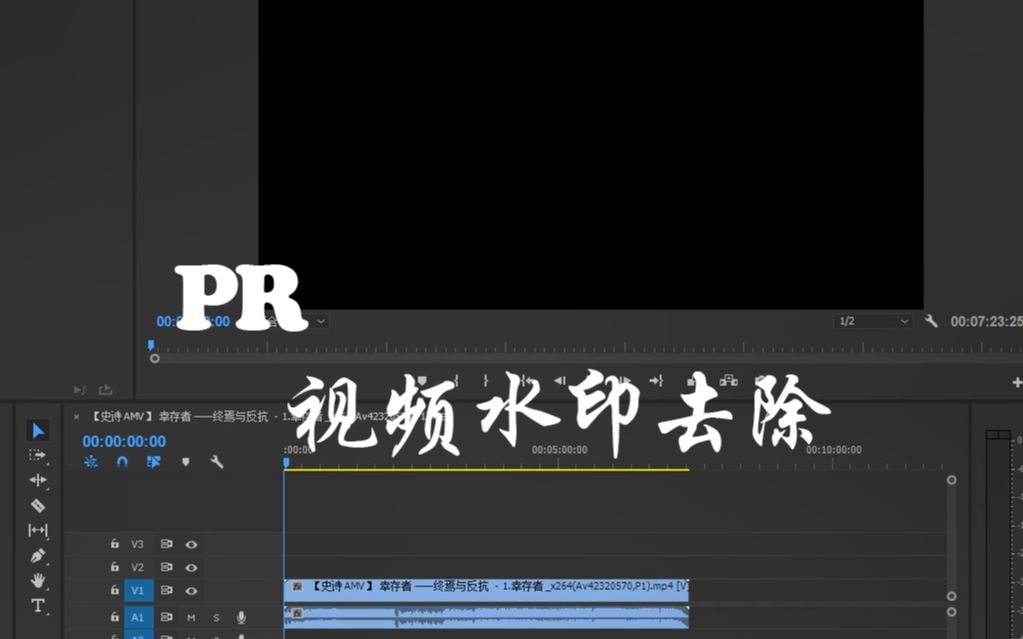 【PR小技巧】如何去除视频水印