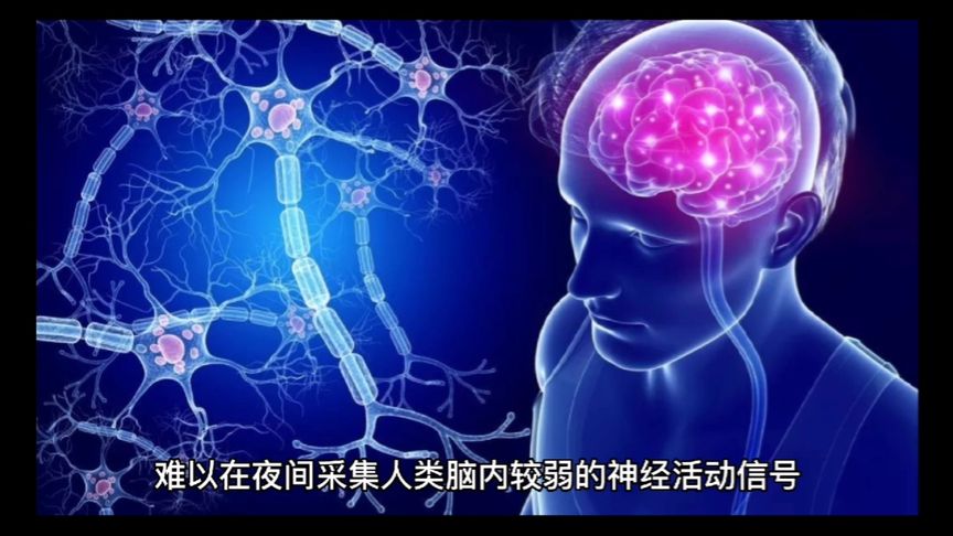 你睡觉时大脑真在自动学习!加速1-4倍重放