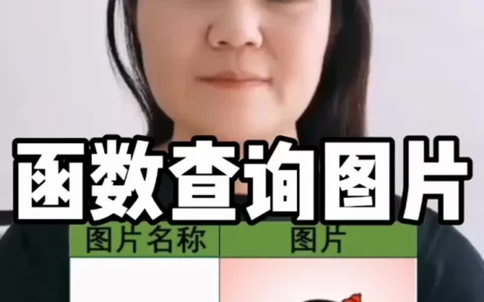 Excel技巧函数查询图片(上)
