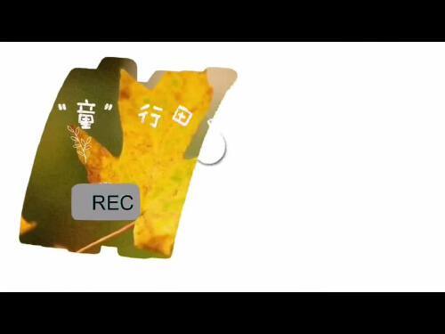 期待已久的研学活动开始啦!看看有那些项目吧!