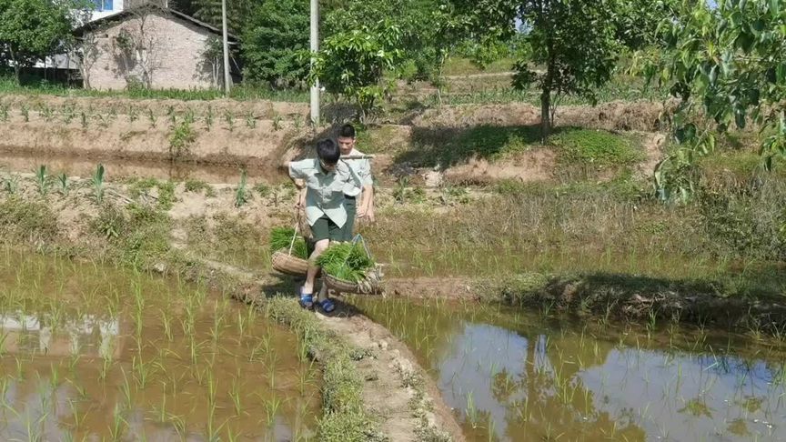 劳动实践,练就生存本领。 #农村 #农业 #农民#劳动实践