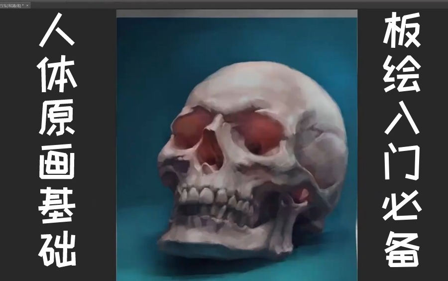 板绘入门必备 | 人体原画基础全集,基础不牢地动山摇~