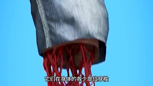 我一直很好奇身体内的血管有多长呢?