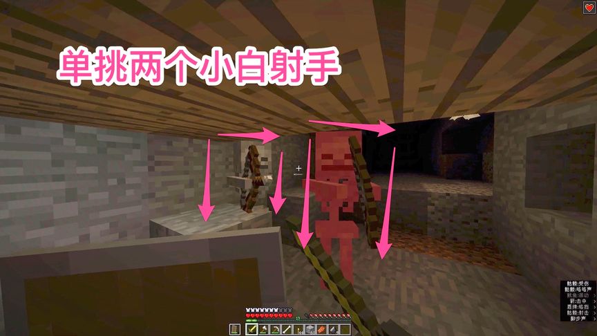 我的世界生存18 矿洞单挑好几只小白