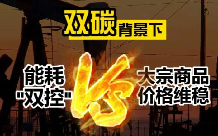 双碳背景下的能耗“双控” VS 维稳商品价格