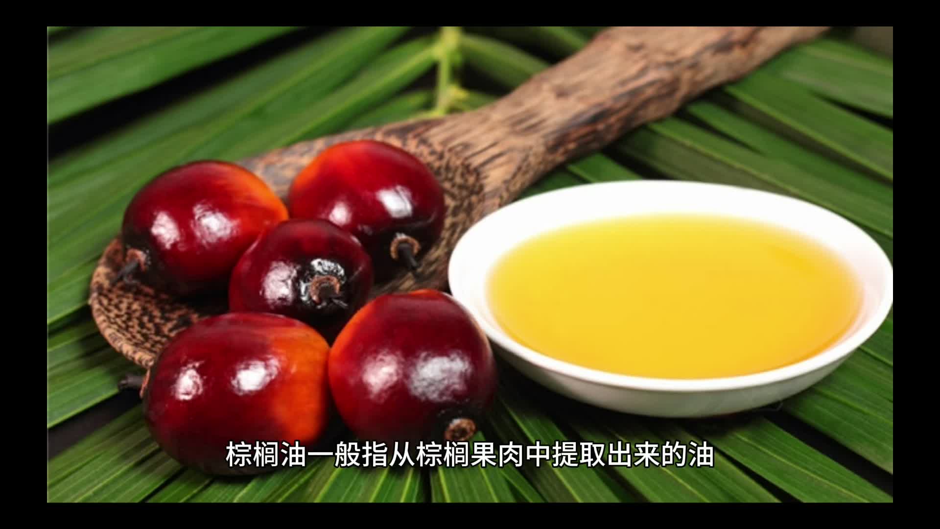 棕榈果怎么榨油?棕榈油加工设备厂家简介下棕榈油生产线设备工艺