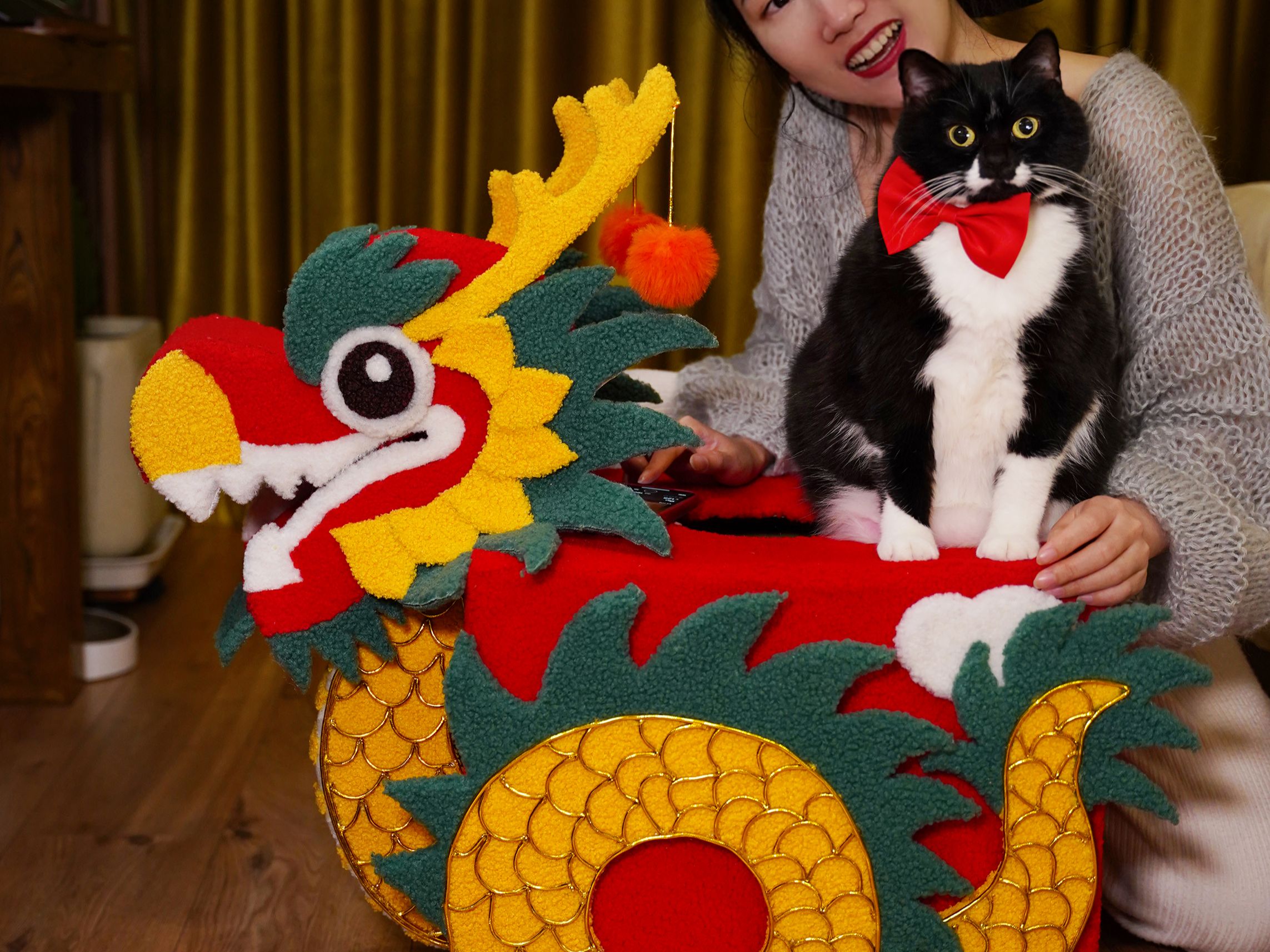 用纸箱改造一个龙年帅气猫窝