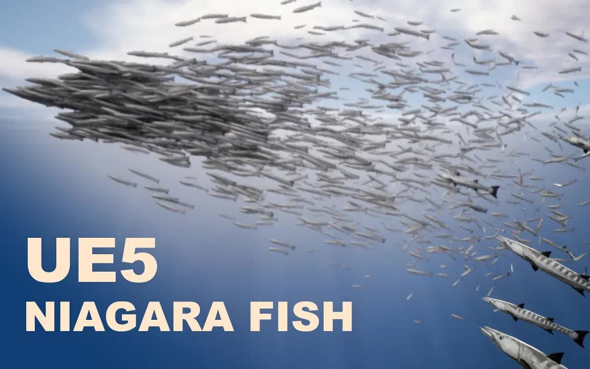 【UE教程】用Niagara在虚幻引擎里创建鱼群