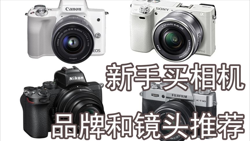 摄影新手是买微单还是单反?买索尼还是佳能?买狗头还是牛定?